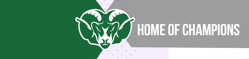 Home of Champions – Badin Athletics